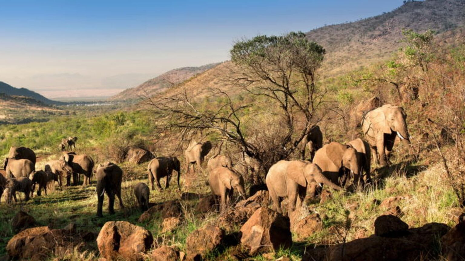 Excursions – JOXILOX